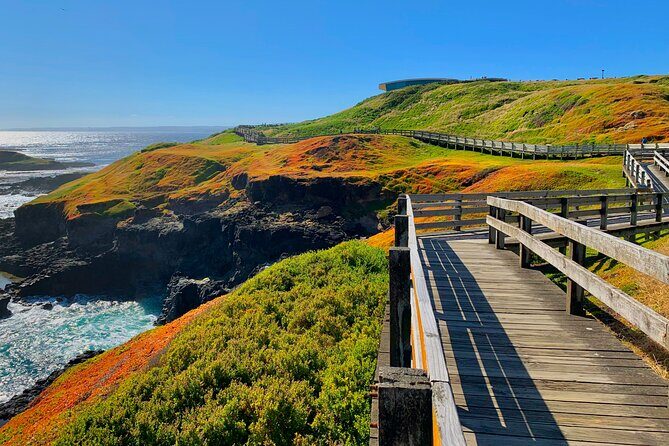 Phillip Island Private Tour: Penguin Parade & Wildlife Day - Authentic Experiences & Authentic Value