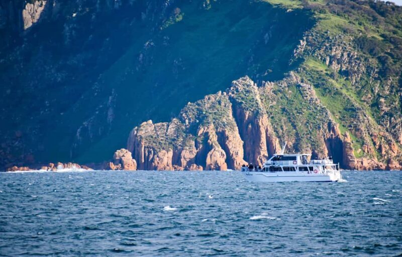 Phillip Island: Whale Watching Boat Tour - Frequently Asked Questions