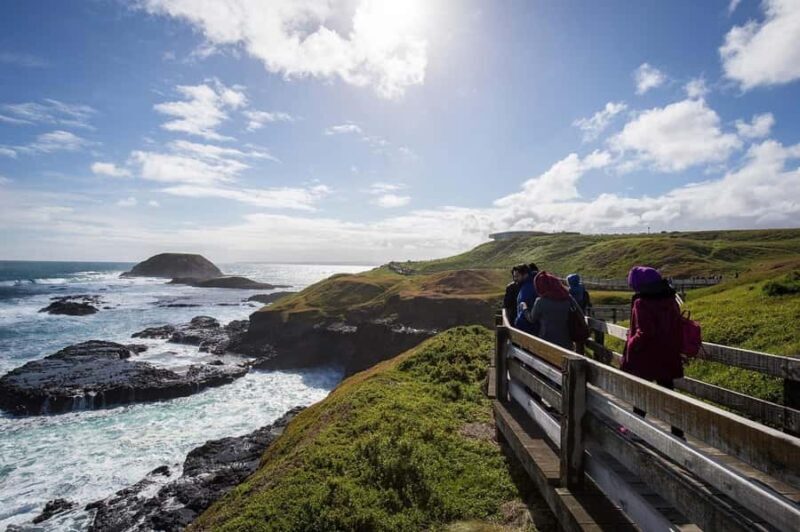 Phillip Island Wildlife & Brighton Beach Boxes Private Tour - The Final Word: Is it Worth It?