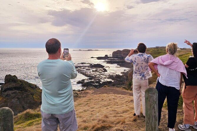 Phillip Island Wildlife Cruise and Penguin Tour from Melbourne - Who Is This Tour Best For?