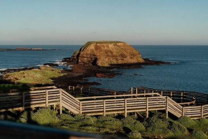 Phillip Island Wildlife Tour: Koalas, Penguins & Coastal Views - An In-Depth Look at the Tour Experience