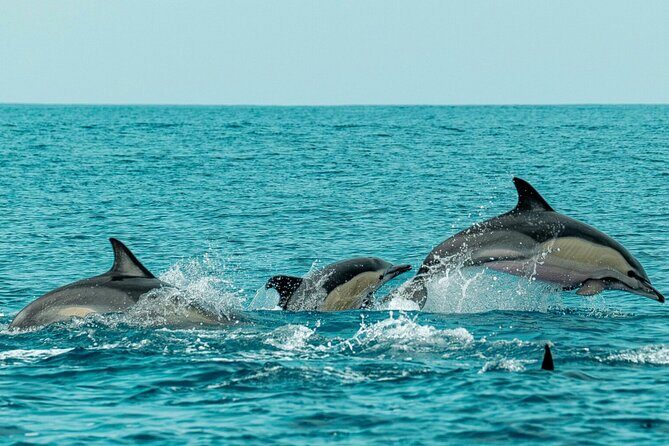 PhiPhi, Maya Bay, Bamboo with Sunset Premium Sea Tour From Phuket - Final The Sum Up