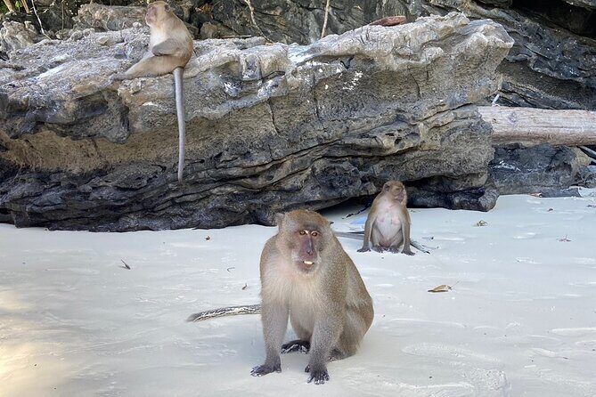PhiPhi Maya Bay, Maiton island with Sunset by luxury Catamaran - The Experience: What Travelers Say