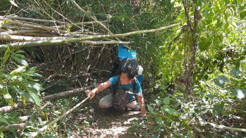 Phnom Penh: 2-Day Aural Mountains Hiking Adventure - Authentic Experiences and Traveler Feedback