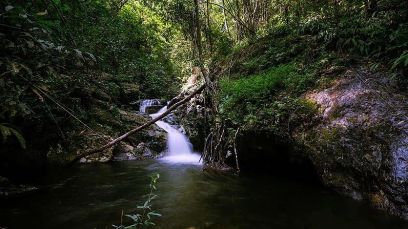 Phnom Penh: 4-Day Trekking&Camping Adventure at Phnom Tompor - Key Points