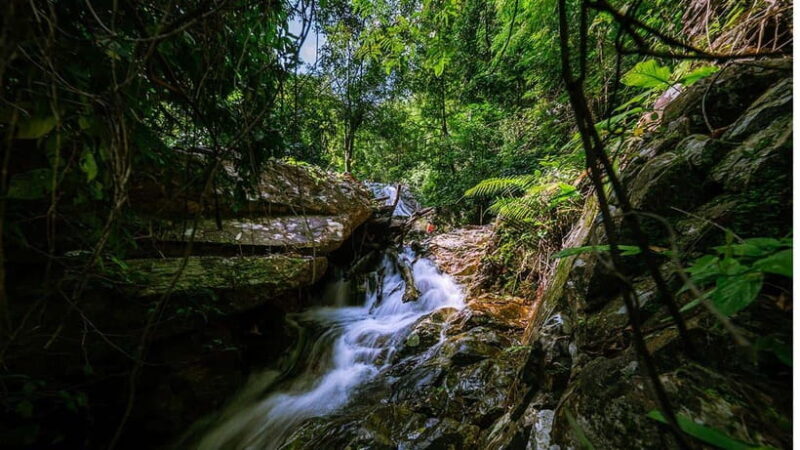 Phnom Penh: 4-Day Trekking&Camping Adventure at Phnom Tompor - An In-Depth Look at the 4-Day Trekking & Camping Adventure