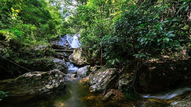 Phnom Penh: 4-Day Trekking&Camping Adventure at Phnom Tompor - Who Will Love This Tour?