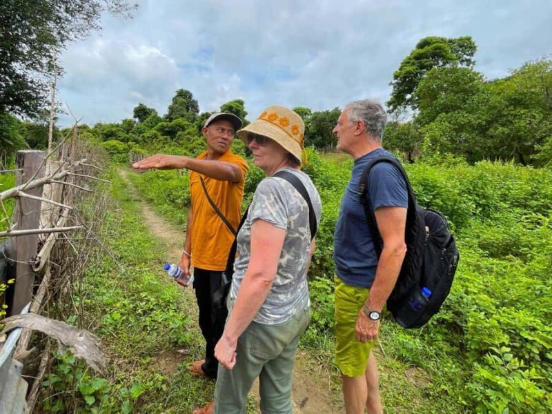 Phnom Penh: 7-Day Cambodia Tour to Siem Reap - Who This Tour Suits Best