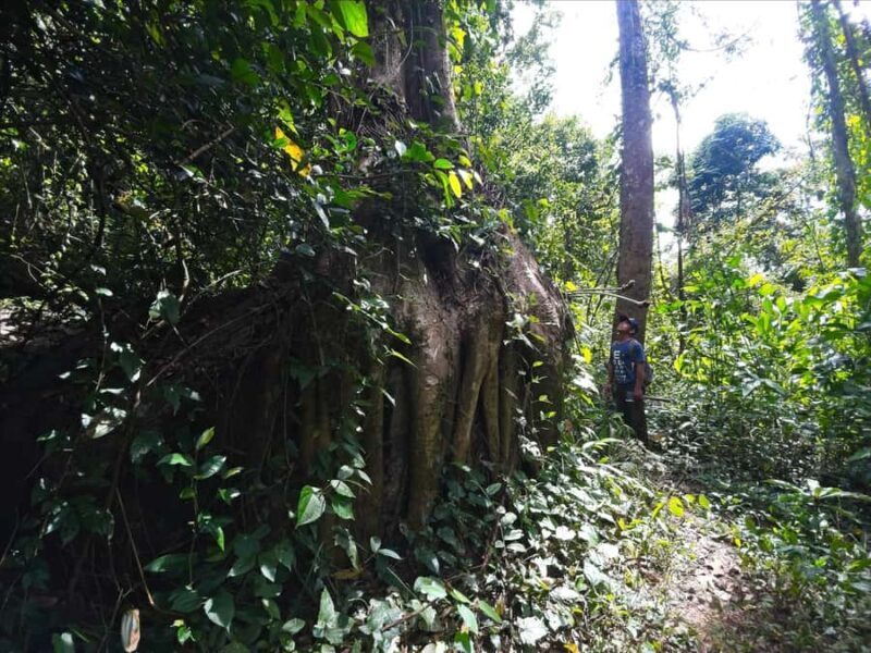 Phnom Penh: A Day Trip CHONLOS WATERFALL Hiking Adventure - Who Should Consider This Tour?