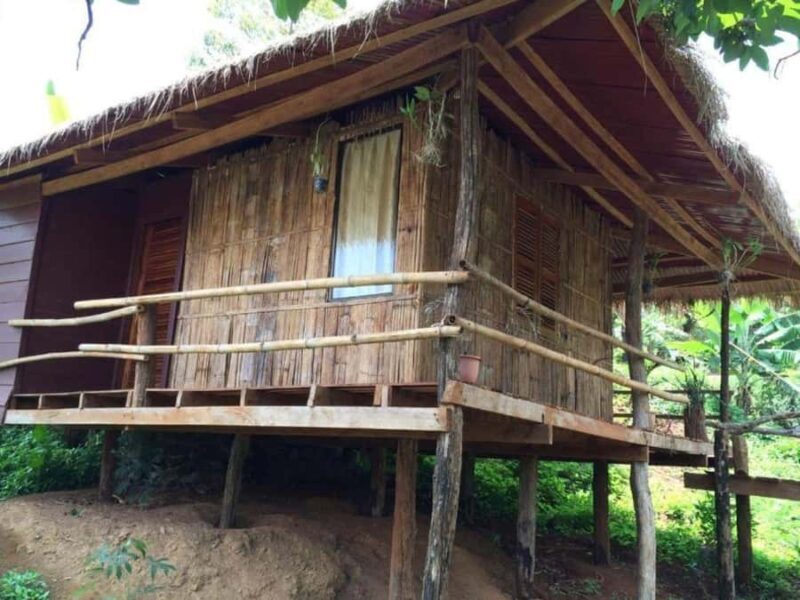 Phnom Penh: Battambang Day Trip with Bamboo Train Ride - The Serious Side: Visiting the Killing Cave