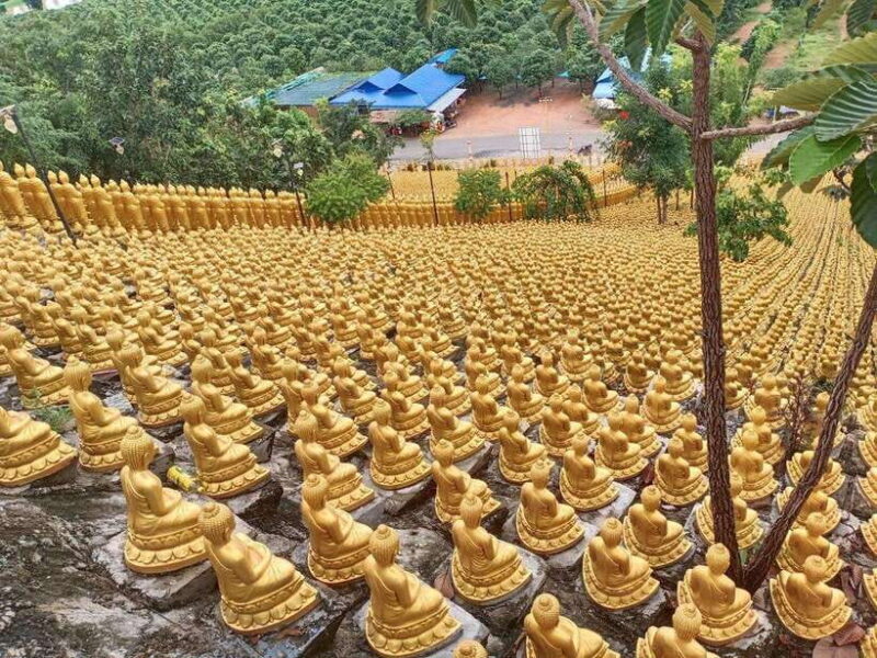 Phnom Penh: Buddha Kiri and Phnom Tamao Zoo Private Day Trip - Final Thoughts: Who Would Enjoy This Tour?