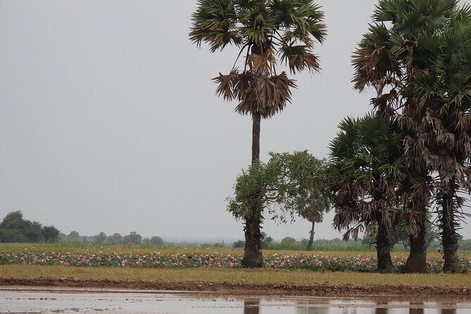 Phnom Penh Countryside Cycle Tour - Frequently Asked Questions (FAQs)