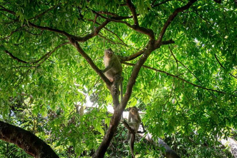 Phnom Penh: Phnom Oudong & Koh Chen Village - Lunch include - Key Points