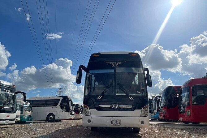 Phnom Penh Private Guided Tour Killing Field and Tuol Sleng - Conclusions: Who Will Love This Tour?