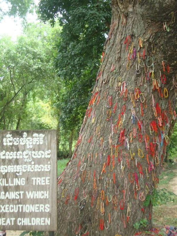 Phnom Penh: S-21 Prison and Killing Fields Half-Day Tour - Practical Tips for Participants