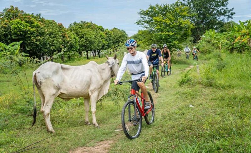 Phnom Penh Silk Island Sunset Bike Tour / E-Bike or Tuk Tuk - The Value of the Experience