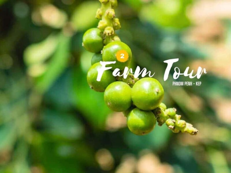 Phnom Penh to Kep Day Trip Scenic Train & Coastal Discovery - Exploring the Phnom Penh to Kep Day Trip: Scenic Train & Coastal Charm