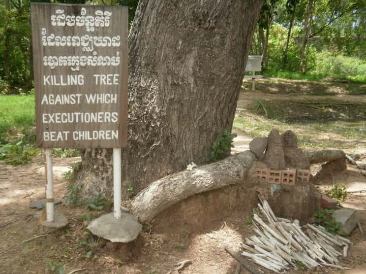 Phnom Penh's Killing Fields: 4-Hour Guided Tour - Authentic Voices from Past Travelers
