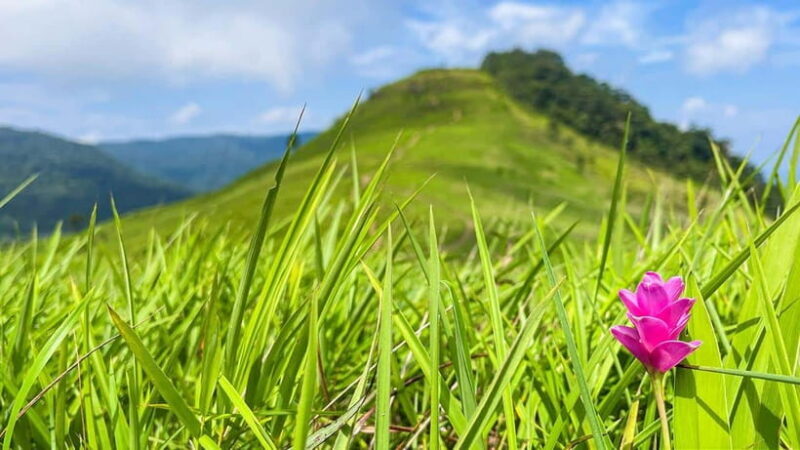 PhnomPenh: 2 Day Trekking & Camping to Mt. Knang Phsar - Returning and Reflecting