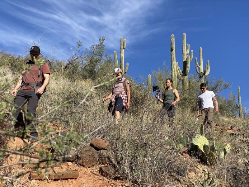Phoenix: Amazing Two-Hour Guided Hike in the Sonoran Desert - Meeting and Ending Points: Convenience Matters