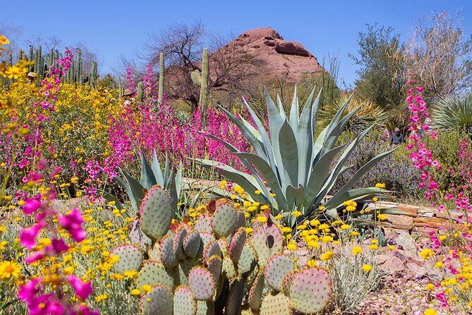 Phoenix and Scottsdale City Highlights - What’s Included and What’s Not