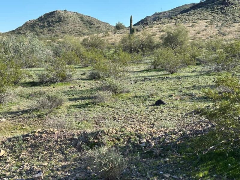 Phoenix: Guided Mountain Bike Adventure in Sonoran Desert - Introduction to the Ride