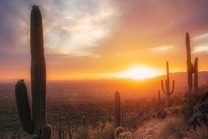 Phoenix Landmarks Tour Desert Botanical Garden - A Closer Look at the Itinerary