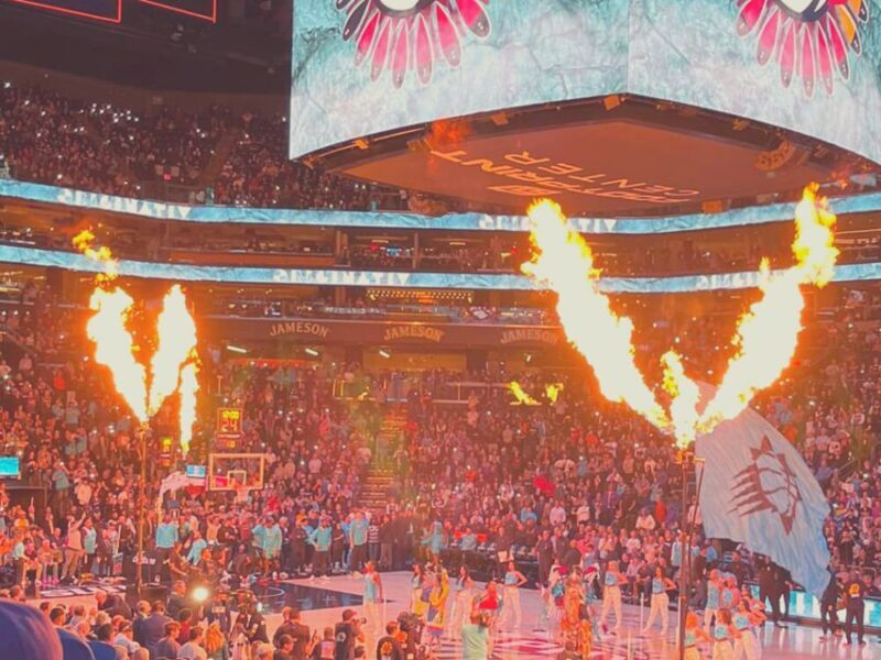 Phoenix: Phoenix Suns Basketball Game Ticket - Key Points