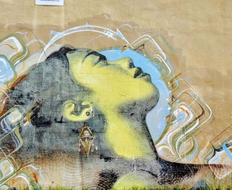 Phoenix: RoRo Street Art Walking Tour - Key Points