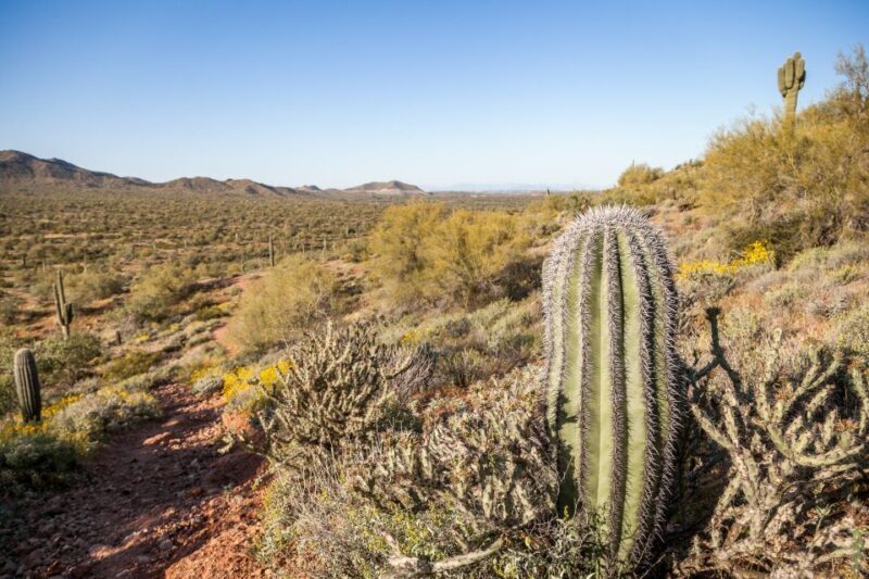 Phoenix/Scottsdale: Apache Trail Tour & Canyon Lake Cruise - Driving Through the Superstition Mountains