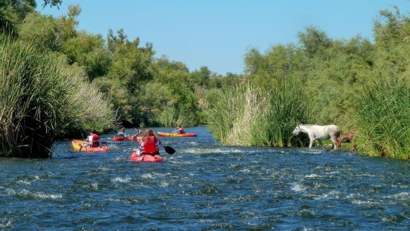 Phoenix: Self-Guided Kayaking Trip to Foxtail - Who Will Appreciate This Experience?