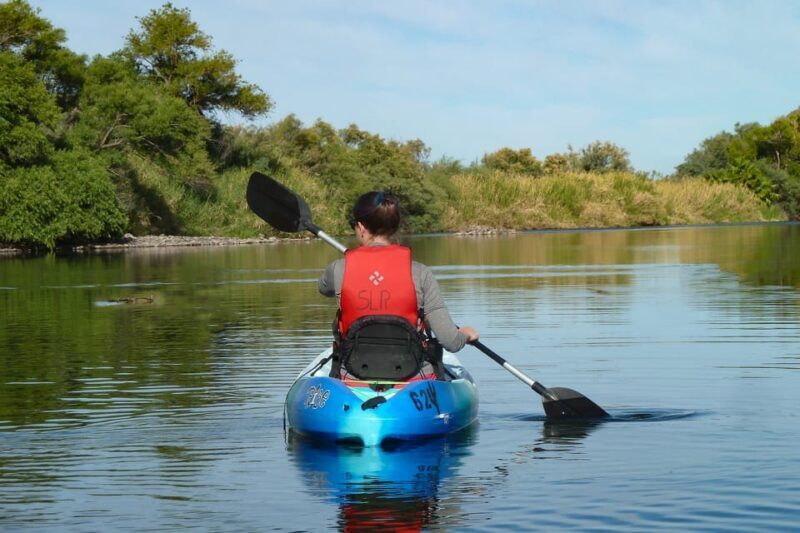 Phoenix: Self-Guided Kayaking Trip to Foxtail - The Sum Up: Who Should Consider This Trip?