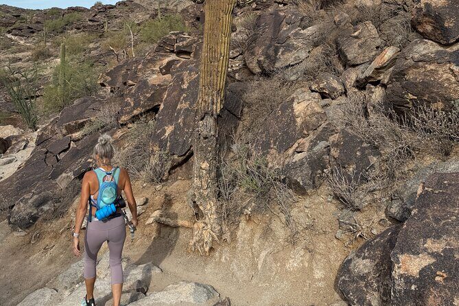 Phoenix South Mountain Hiking Tour Experience - Discovering South Mountain — A Guide to the Experience