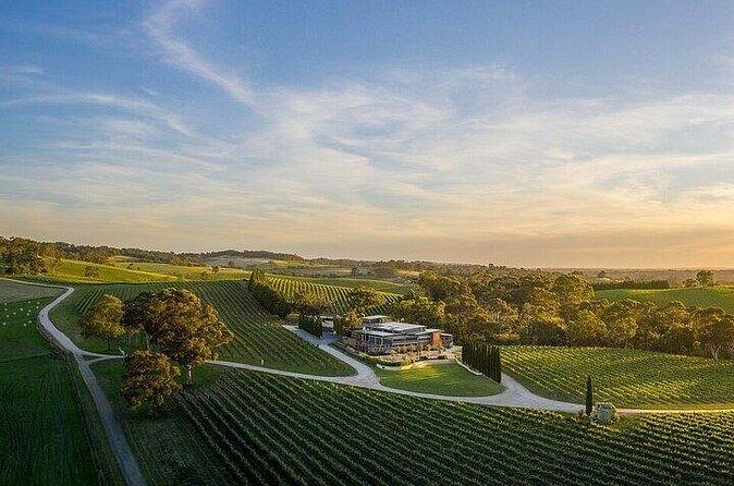 Phoenix Vortex to Vineyard Shared Tour - Final Thoughts: Is This Tour Right for You?