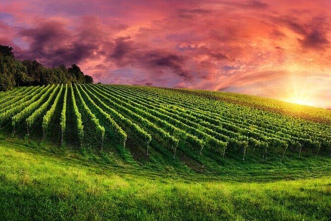 Phoenix Vortex to Vineyard Shared Tour - Who Should Consider This Tour?