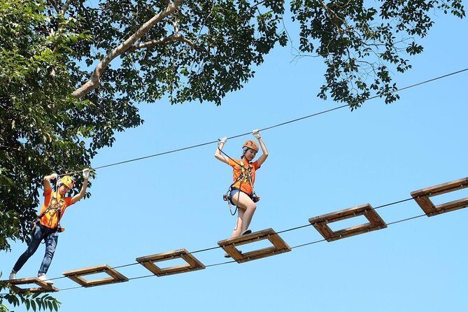 Phoenix Zipline Adventure Park Chiang Mai Thrills - Key Points