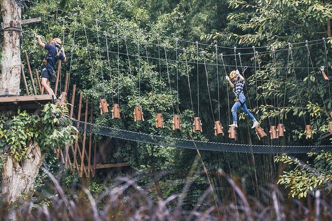 Phoenix Zipline Adventure Park Chiang Mai Thrills - A Detailed Look at the Experience