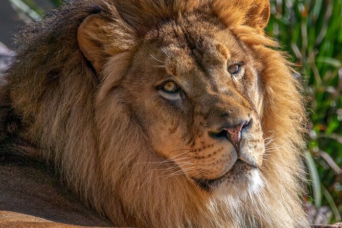 Phoenix Zoo Admission Ticket - FAQ