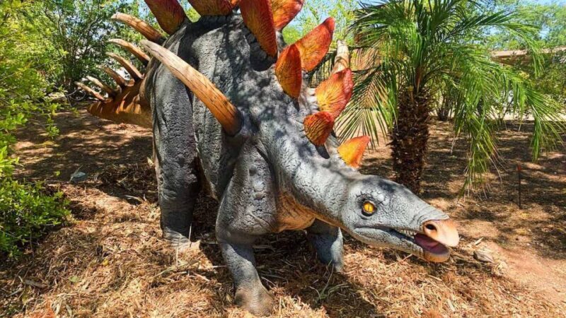 Phoenix Zoo One Day General Admission Ticket - Key Points