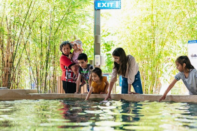 Phoenix Zoo One Day General Admission Ticket - Analyzing the Ticket Price: Is It Worth It?