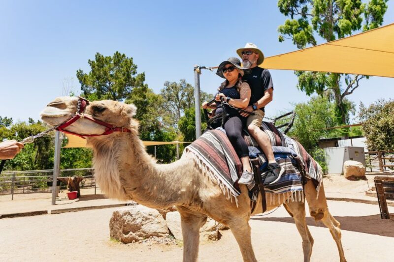 Phoenix Zoo One Day General Admission Ticket - Practical Tips for Visiting the Phoenix Zoo