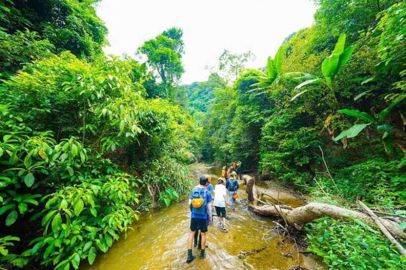 Phong Nha: ELEPHANT CAVE & MA DA VALLEY JUNGLE TREK 1D - The Sum Up: Who Is This Tour For?