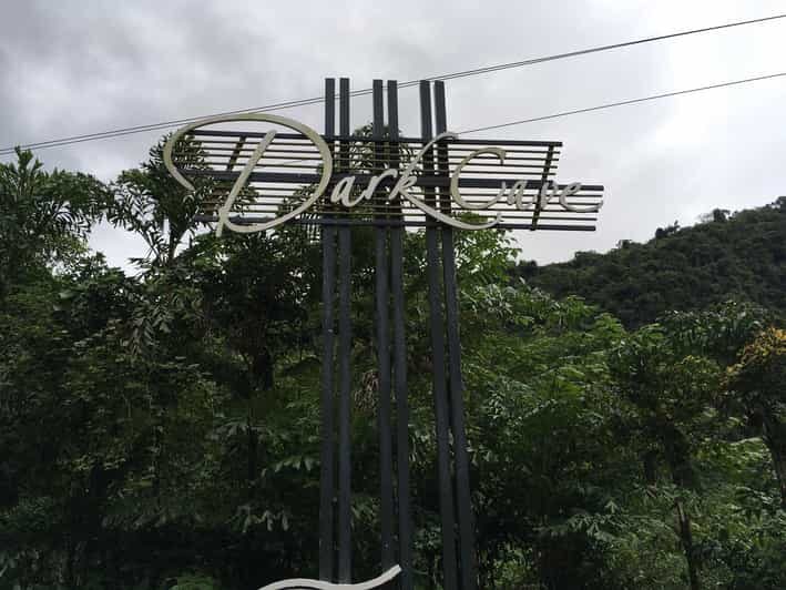 Phong Nha: Paradise Cave and Dark Cave Tour & Lunch Full Day - Introduction: A Day of Natural Wonders and Adventure