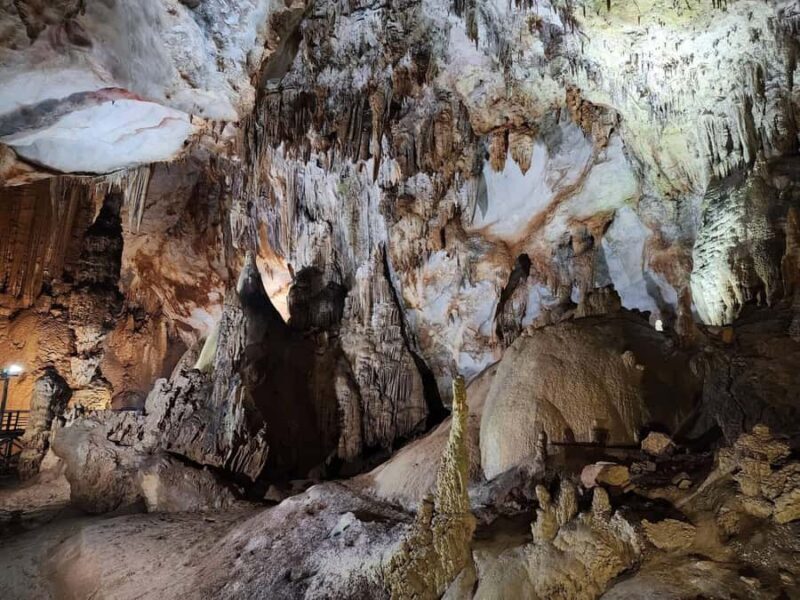 Phong Nha: Paradise Cave & Dark Cave Adventure Day Tour - Who Should Consider This Tour?