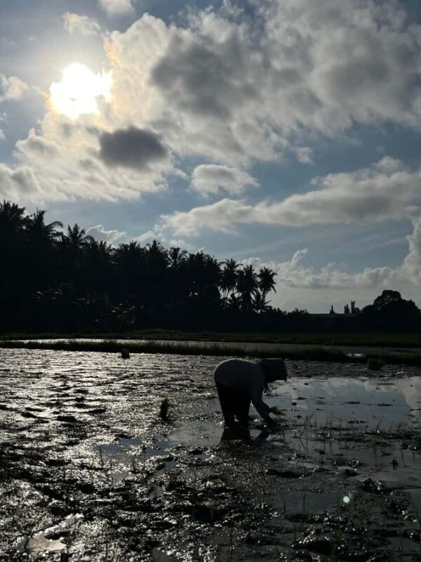 Photo Concept Tour BWI: Sunrise, Culture, and Everyday Life - What to Expect from the Tour