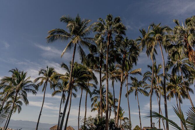 Photo Session Experience in Vallarta - The Experience at a Glance: A Closer Look