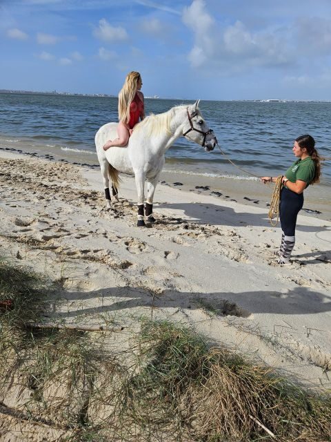 Photo Session With Horses on The Beach or in The Countryside - What Makes This Experience Special?