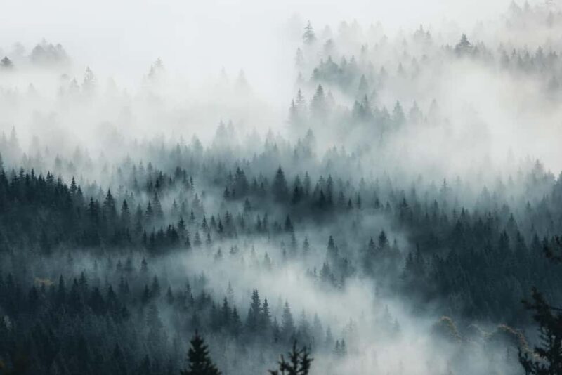 Photo tour through the Black Forest  the highlights - Key Points
