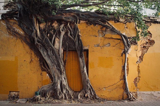 Photo Walking Tour Historic District Mazatlán - Practical Details and Tips