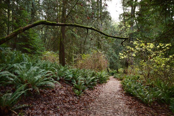 Photography, Hiking & Ferry to Bowen Island - Authentic Insights from Recent Guests
